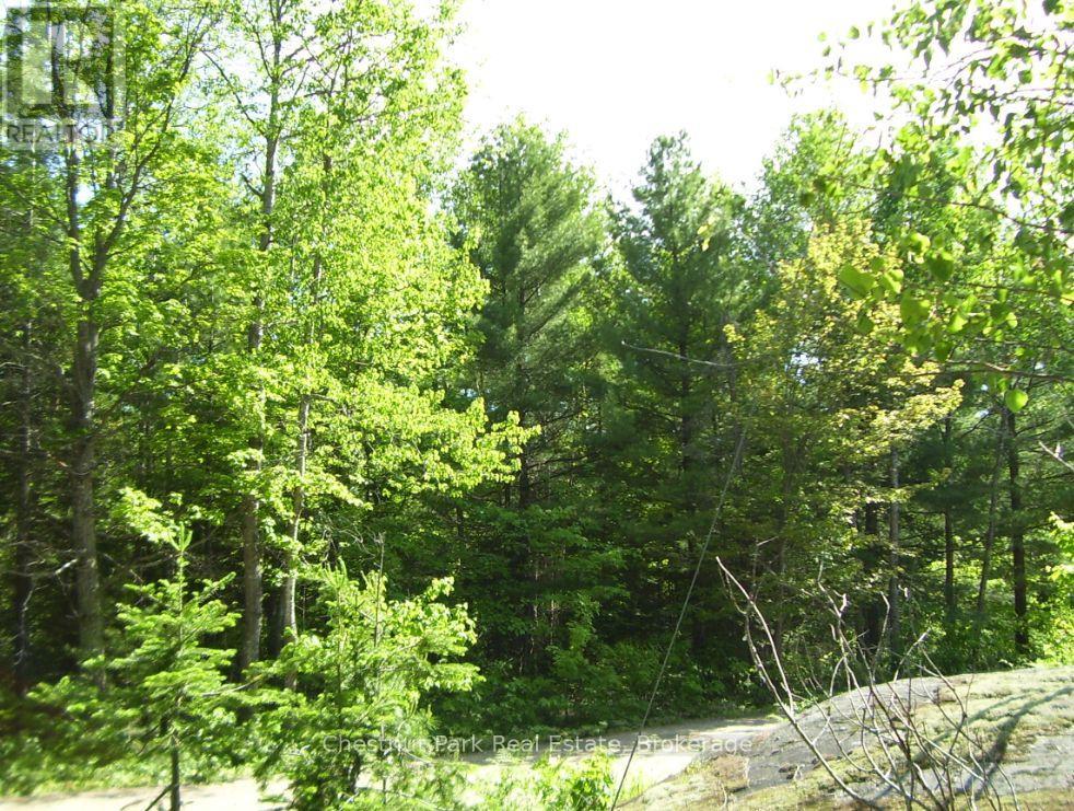 1839 Bear Cave Road, Muskoka Lakes, Ontario P0B 1G0 (29204624 ...